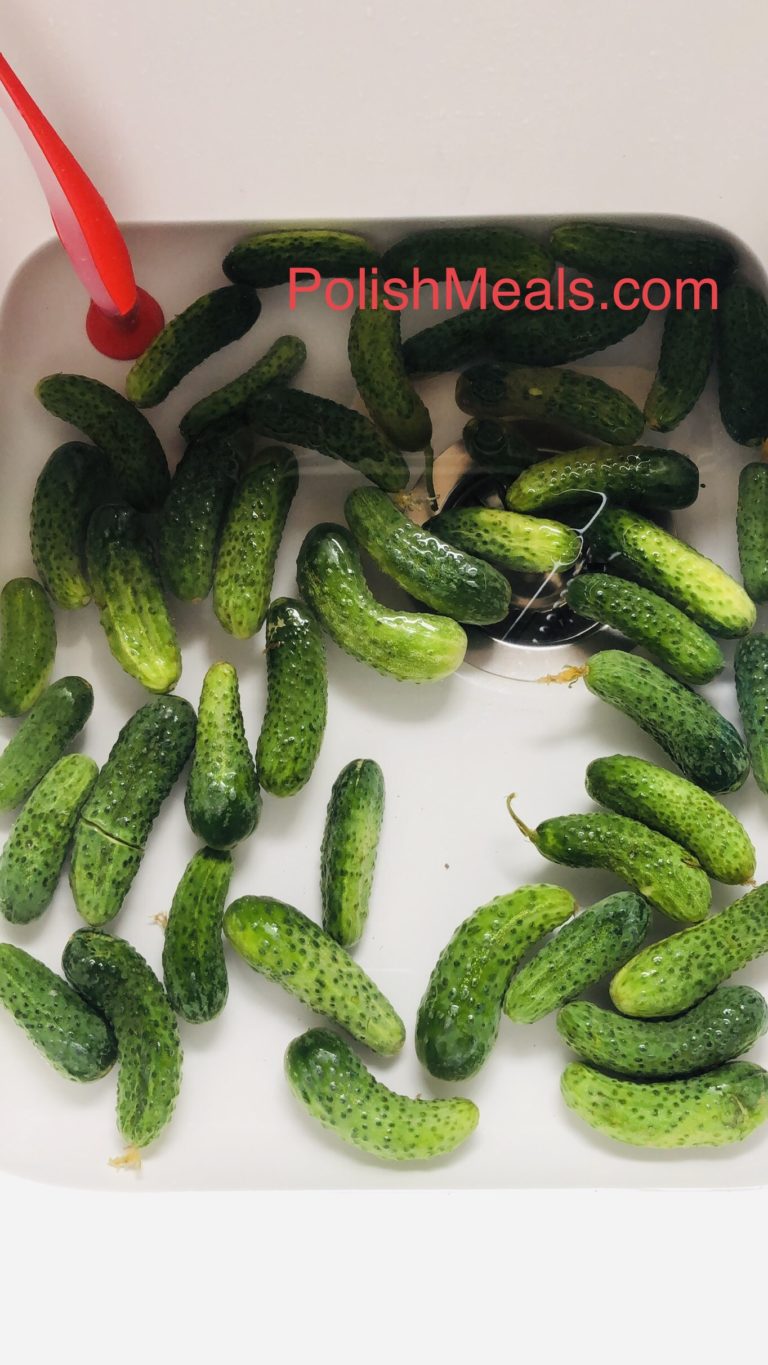 Polish Traditional Cucumbers in Brine Recipe | Polish Meals & Cooking