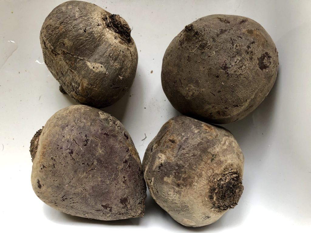 Korean Kimchi (Beet Root) Recipe | Polish Meals & Cooking